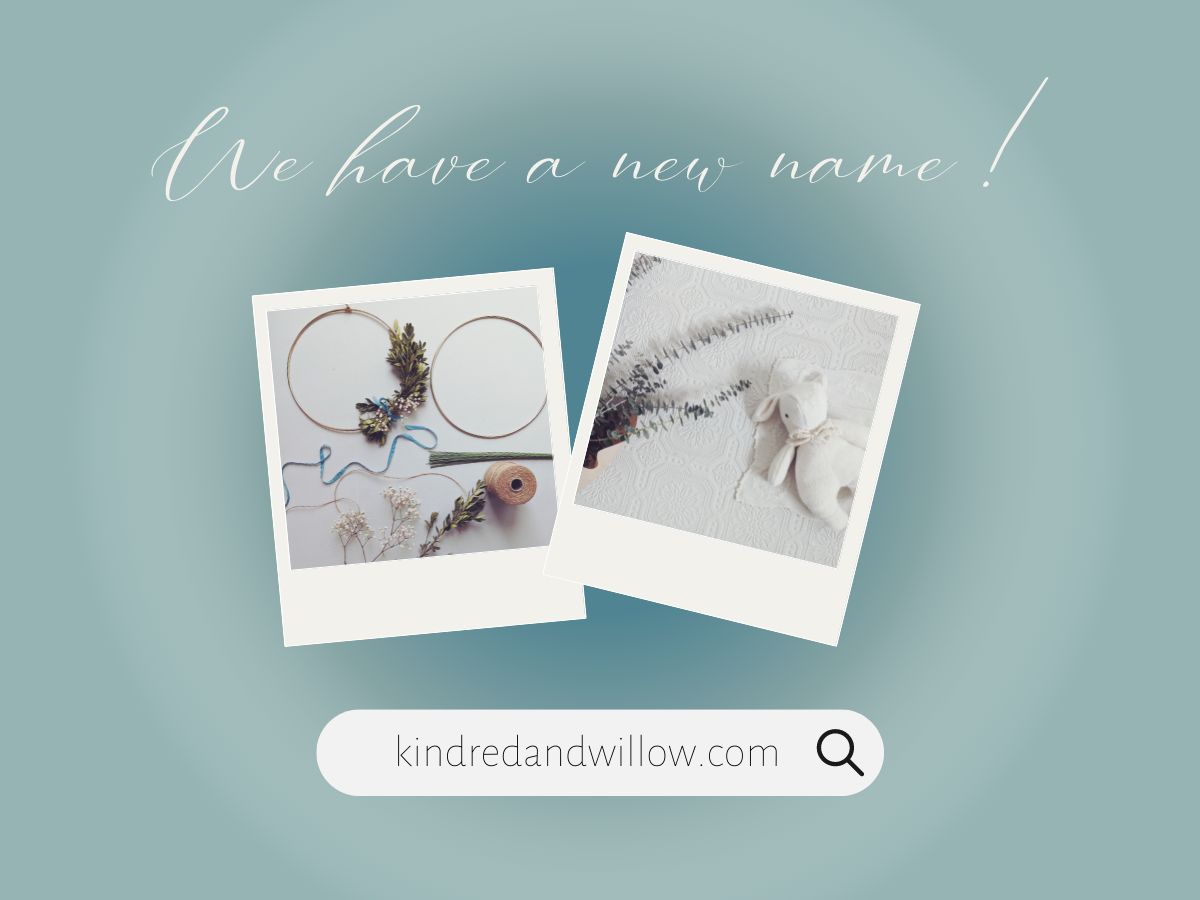 Back With a New Name! - Kindred + Willow
