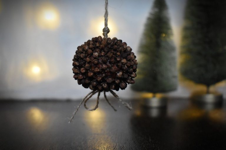 How to Make an Orange Pomander with Cloves - Kindred + Willow